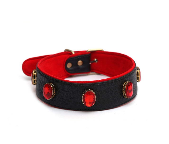 Red Knight Collar From PawDrip – PawDrip Pvt Ltd